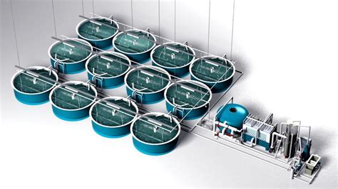 Facts Of Recirculating Aquaculture System Seafood Network Bd