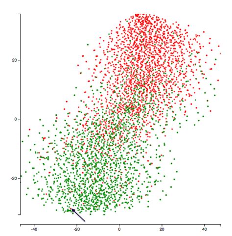Understanding Neural Networks By Embedding Hidden Representations By