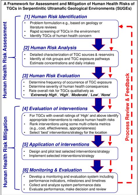 A Summary Conceptual Framework For Human Health Risk Assessment And Download Scientific Diagram