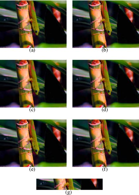figure 2 from super resolution through neighbor embedding semantic