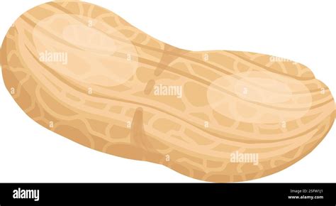 Cartoon Peanut Delicious Tasty Peanuts Snack Raw Peanut In Shell Flat