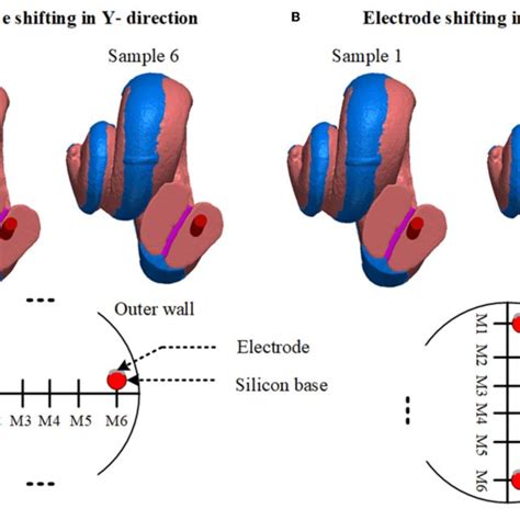 Human Cochlea Modeling And Electrical Potential Simulation A The