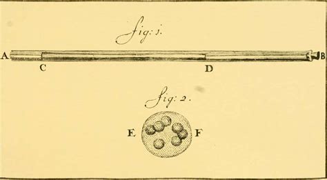 Leeuwenhoek Discoveries
