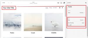 How Do I Change Font Size In Squarespace WebsiteBuilderInsider