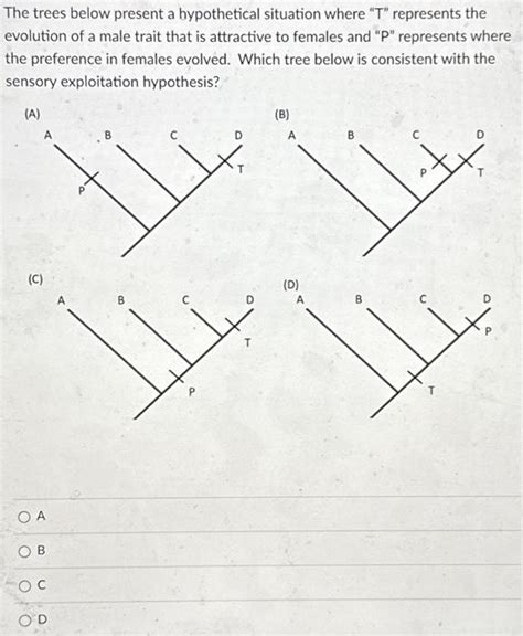 Solved The Trees Below Present A Hypothetical Situation Chegg Com