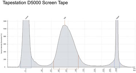 Quality Control Of Rnaseq Library Download Scientific Diagram
