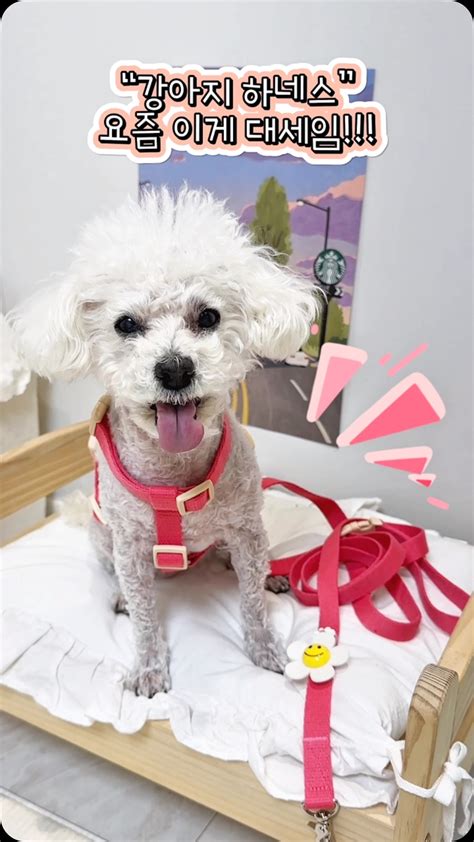 러시아어•프리랜서모델•셀프촬영 여행만 가면 아픈 우리 할미은지🥺 우리 또 뱅기타고 놀러갈 수 있겠지 하루놀면 이틀쉬어야하는 저질체력 할미와 함께 ️ 그래도 사진찍을땐