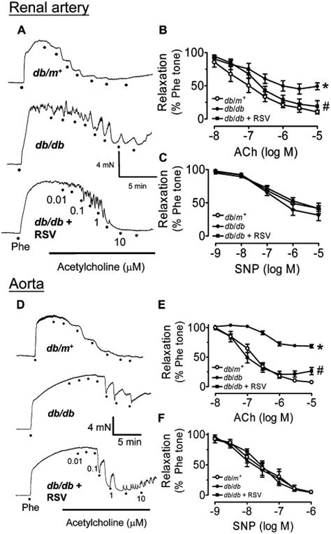 statin improves edrs in renal arteries and aortae of db db mice