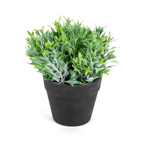 Buy Pots Plants And Planters Online Australia Willow And Silk