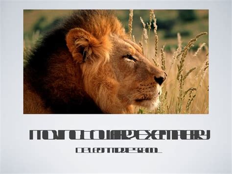 Ap Interview Presentation Ppt