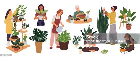 만화 사람들은 실내 식물을 돌봅니다 가정 정원 가꾸기 온실에서 관엽 식물에 물을 주는 남자 화분에 무화과나무를 이식하는 여자 가지 치기하고 꽃을 뿌립니다 화려한 벡터 세트