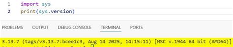 How To Check Python Version