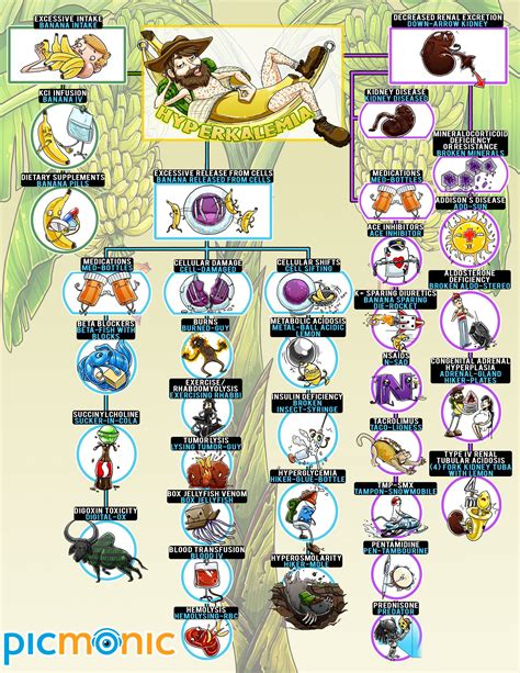 Infographic How To Study Hypokalemia And Hyperkalemia Picmonic