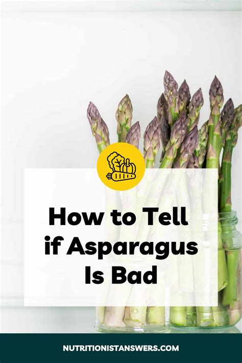 Is Avocado Low Fodmap Nutritionist Answers