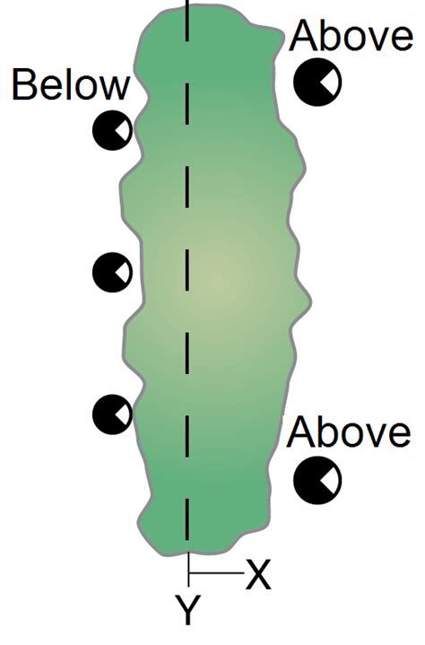 Lai 2200c Measuring Isolated Plants