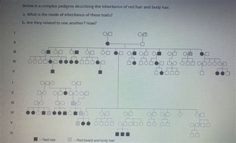 Solved Below Is A Complex Pedigree Describing The Chegg