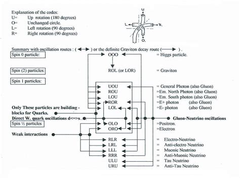 Quantum Function Follows FORM Q FFF Theory An Entangled Mirror Multiverse String Theory