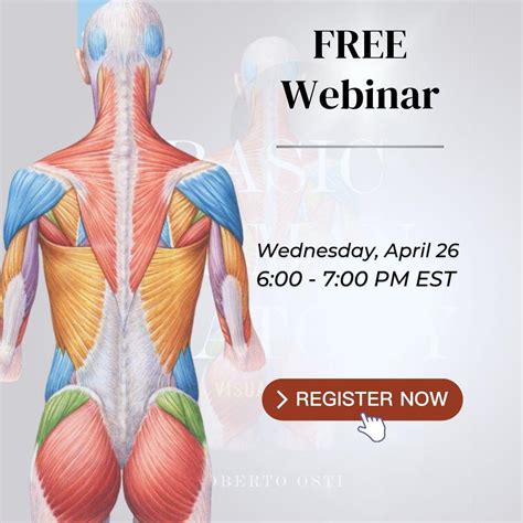 A Webinar For Basic Human Anatomy Wednesday April 26 6 00 7 00