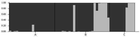 Structure Bar Plot Showing The Two Genetic Populations Identified By Download Scientific