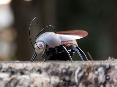 The IOS Controlled Bug Free Worldwide Shipping Cult Of Mac Deals