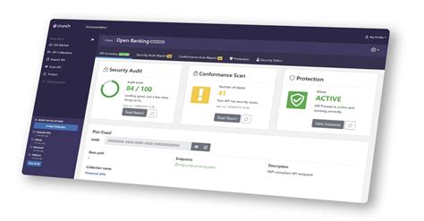 Crunch API Security Platform