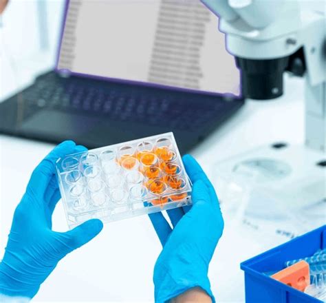 48 Cell Based Assays Royalty Free Photos And Stock Images Shutterstock 48 Cell Based Assays Royalty Free Photos And Stock Images Shutterstock
