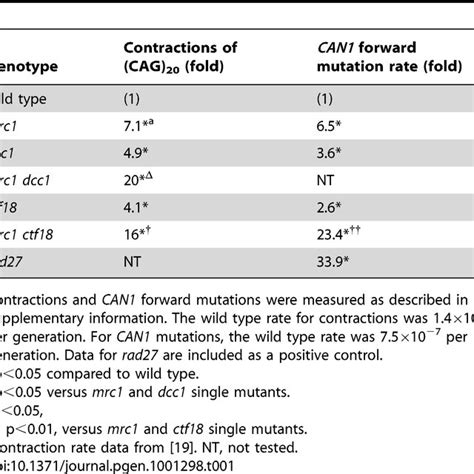 double mutant analysis of mrc1 with dcc1 and ctf18 download table