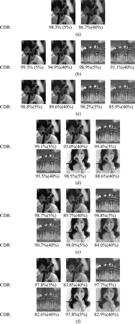 Decode Watermark With Cropping Rate 5 And 40 Where The H Download Scientific Diagram