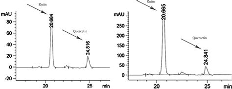 HPLC Analysis Peaks Shown In Minutes RT Minutes Download Scientific Diagram
