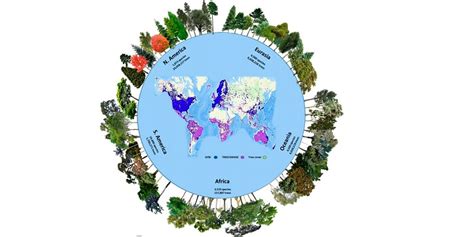 Number Of Tree Species On Earth Mirage News