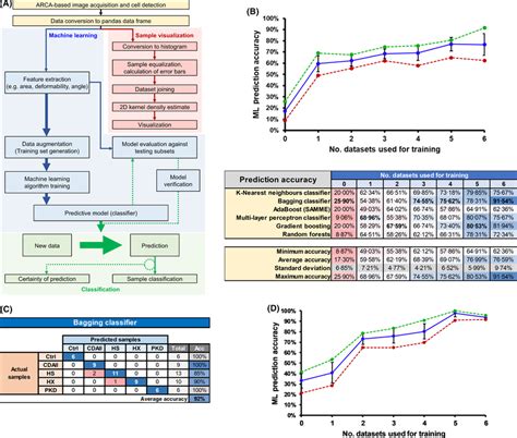machine‐learning‐based classification of automated rheoscopy datasets
