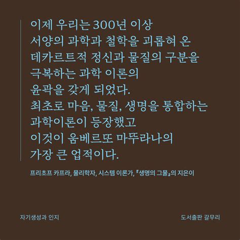 아카데미느티나무