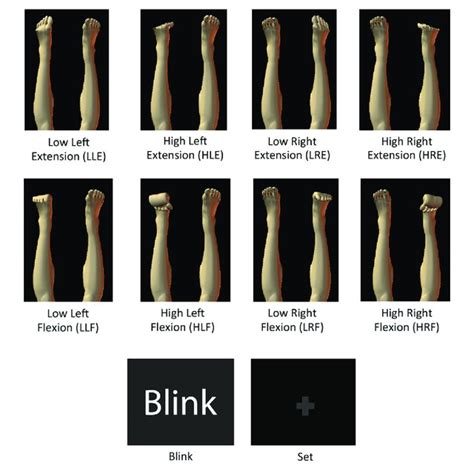 Images With Motor Task Instructions Used During The Fmri And The Eeg