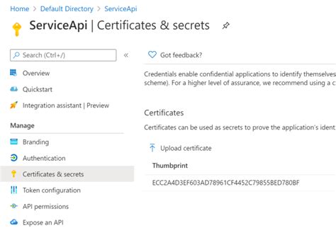 Implement Microsoft Entra Id Client Credentials Flow Using Client Certificates For Service Apis