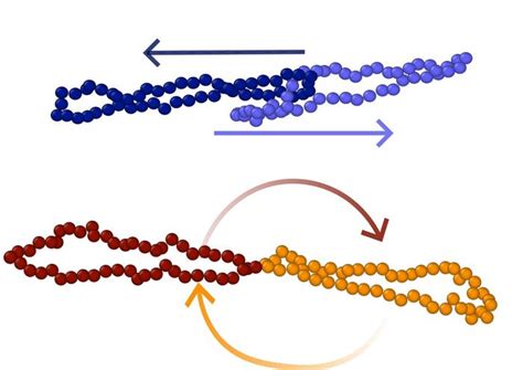Schematic Of Poly[2]catenane S [image] Eurekalert Science News Releases