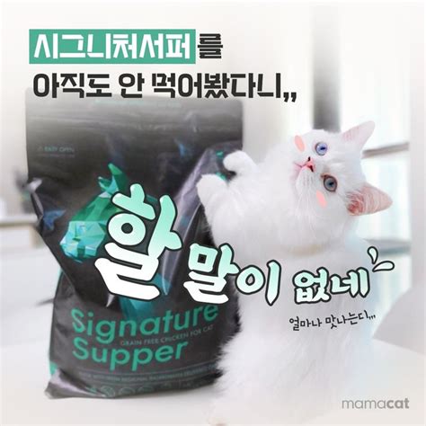 0119마마캣sns시그니처서퍼 2024 마케팅 광고 대행사 배너