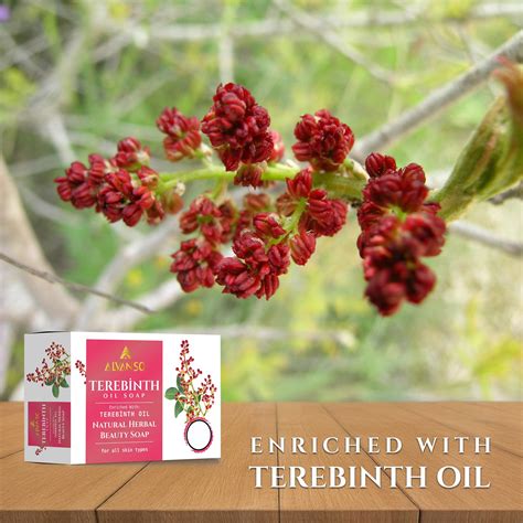 Terebinth Oil Soap Alvanso Beauty And Nature