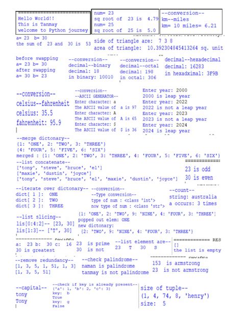 python prints 24 pdf