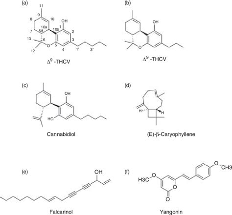 Examples Of Some Phytocannabinoids From Cannabis And Other Plants Download Scientific