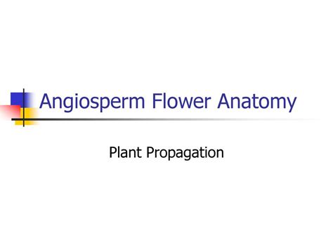 Angiosperm Flower Anatomy Ppt Download