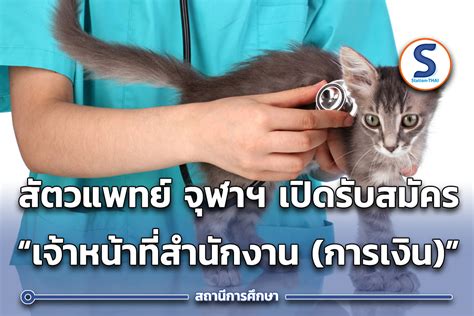 สัตวแพทย์ จุฬาฯ รับสมัคร เจ้าหน้าที่สำนักงาน การเงิน เปิดรับสมัครแล้ว 24 ส ค นี้ Station