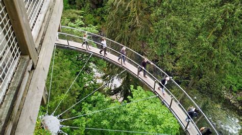 Capilano Suspension Bridge Explore Vancouver