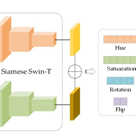 The Schematic Diagram Of The Duel Stream Self Supervised Network