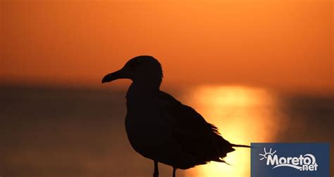 Какво ще е времето утре по морето? | Moreto.net - Варна