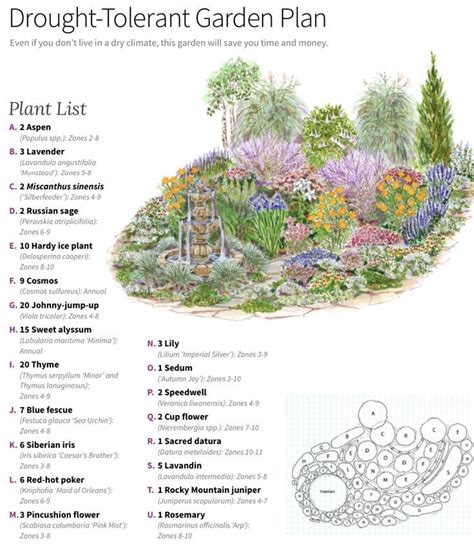 Easy Shade Garden Plans Bing Shade Garden Flower Garden Plans