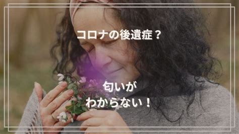 “refused To Execute Scriptーmime Type ‘texthtml Is Not Executable