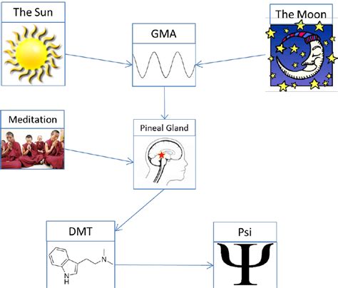 the relationship between local geomagnetic activity meditatio samim
