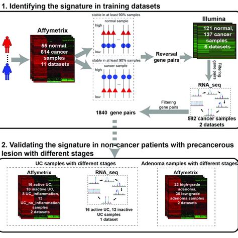 The Analysis Procedure For Identifying Crc Incidence Risk Score