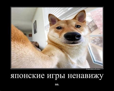 Абсракные нейродогиевские демотиваторы 2024 ВКонтакте