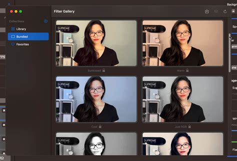 Filters And The Filter Gallery — Camo